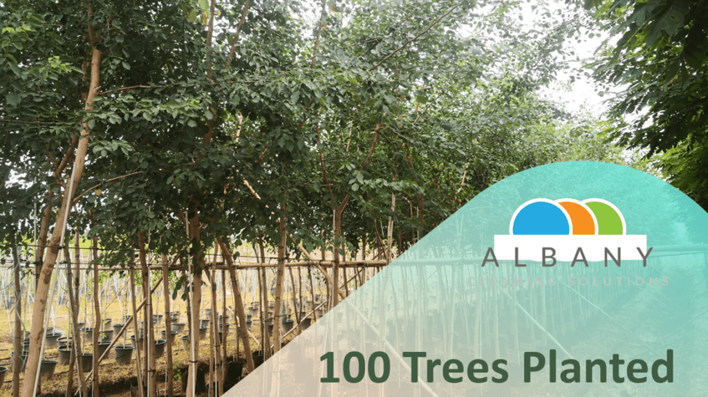 100 Trees Planted - Albany Cleaning
